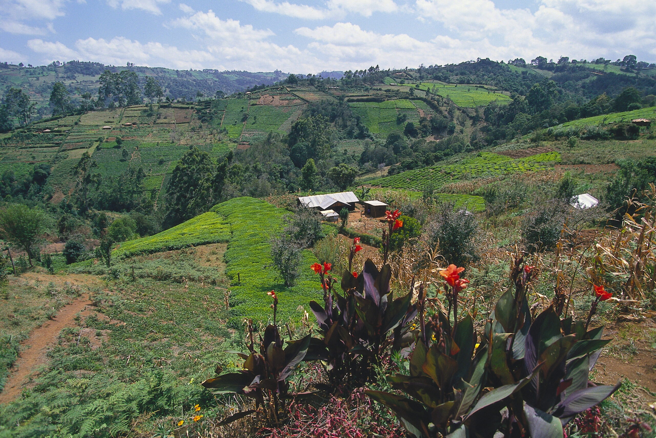 Exploration interest in Kenya