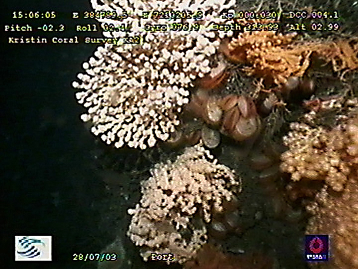 Kristin – high pressure and temperature