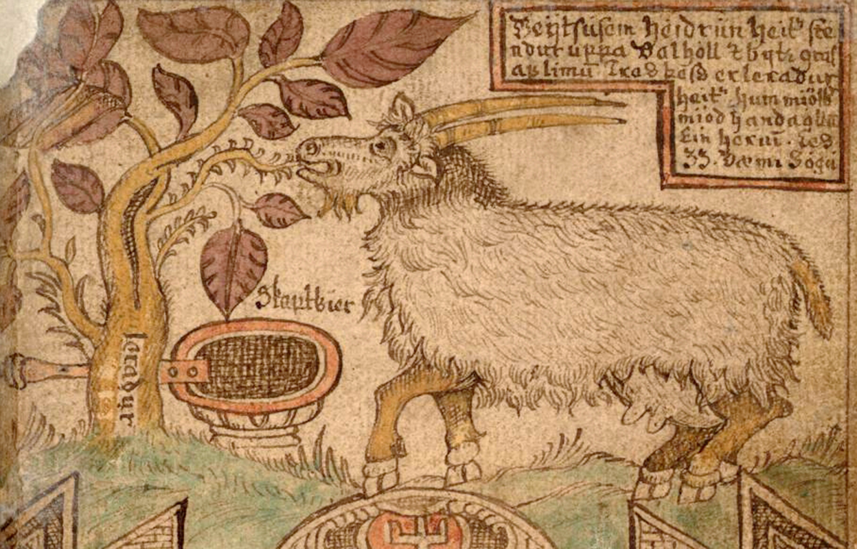 Heidrun and the fight over the “mead”